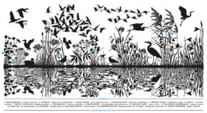 YMERE OEVERSILHOUETTEN « Geertje Aalders Illustraties